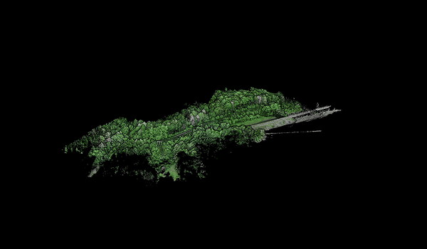 Enhancing Electrical Grid Reliability: Advanced Vegetation Management ...