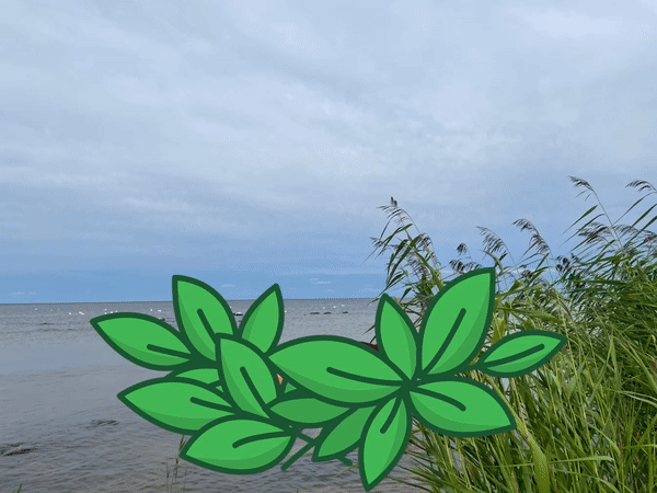 Adding a Lottie Animation Overlay to an iOS Video | by Thinkitive Lab Development | Medium