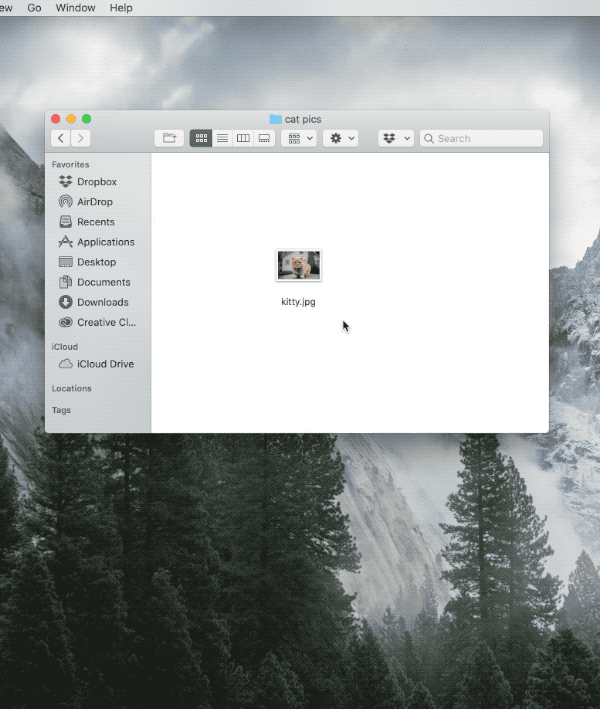 Convert images to webp in Mac. How to add a conversion script to your ...