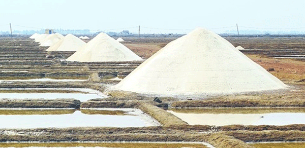 How to choose the right salt exporter? | by Santosh Kumar | Medium