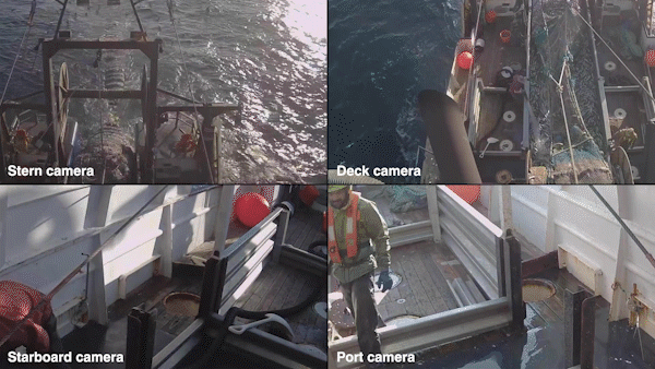 What makes a boat smart, and why does it matter? | by Environmental ...