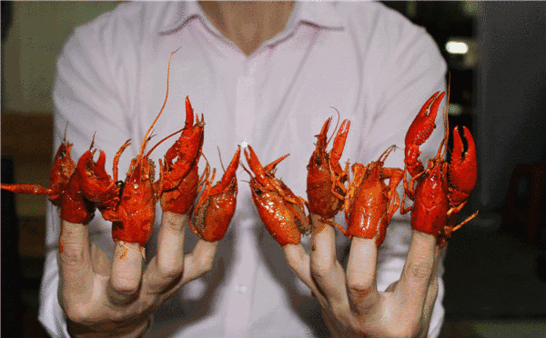 Why Are Chinese Obsessed With ‘Mini Lobster’ | by Iris Z | Medium