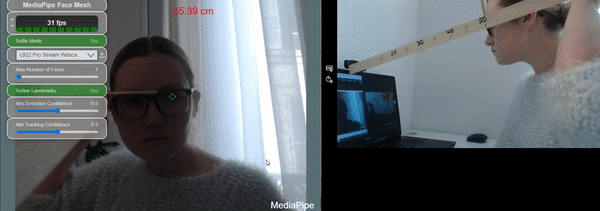 Create your own depth measuring tool with MediaPipe FaceMesh in Javascript | by Susanne ...
