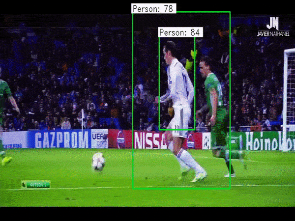 Guide to Object Detection using PyTorch | by Karan Jakhar | Analytics Vidhya | Medium