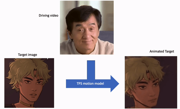 Transferring Motion from a Video to a static image using TPS motion ...