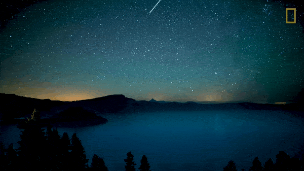 Chasing Your Heart’s Desires. Once you’ve felt the fire of seeing… | by ...
