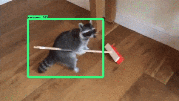 How to train your own Object Detector with TensorFlow’s Object Detector ...