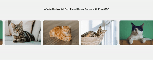 How to create Infinite Horizontal Scroll and Hover-Pause with Pure CSS ... How to create Infinite Horizontal Scroll and Hover-Pause with Pure CSS ...