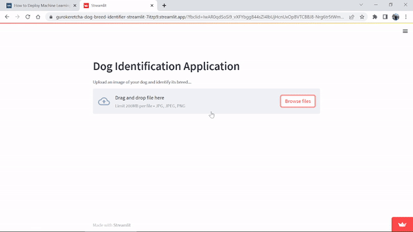 How to Deploy Machine Learning models? End-to-End Dog Breed ...