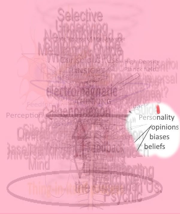 Subjective Thinking. Subjective thinking generates a bias in… | by Siri ...