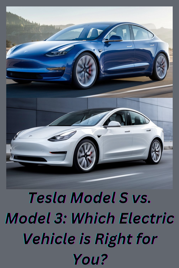 Tesla’s 2024 Model Lineup: Which One Is Right for You? | by Jennifer ...