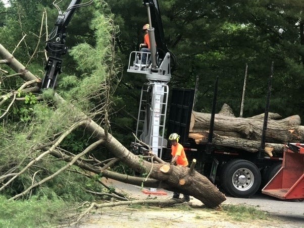 Enhance Your Landscape with All Pro Tree Services: Tree Service in Hampstead, New Hampshire | by ...