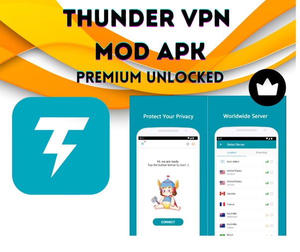 Unraveling the Power of Thunder VPN Premium v5.1.16: A Comprehensive ...