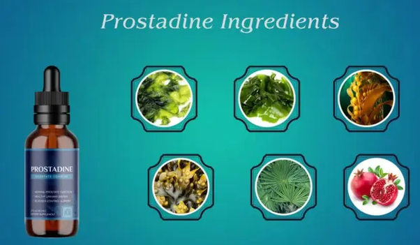 Does Prostadine Work. A natural substance included in… | by ...