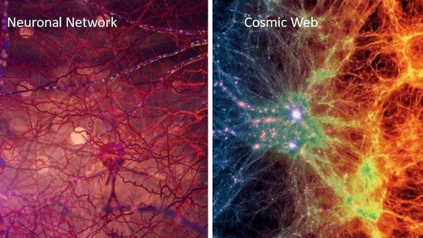 The brain-mind copying itself into society | by Siri Perera | Medium
