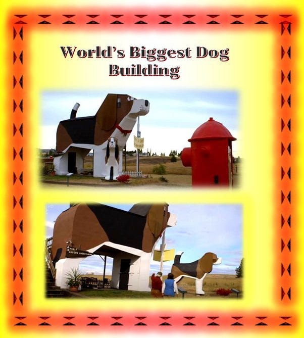 WORLD’S BIGGEST DOG BUILDING. If you’ve ever been in Idaho USA and ...
