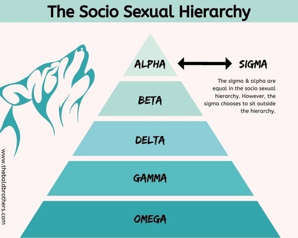 The Sigma INFJ. An Exploration of the Introverted Alpha | by marwar ...