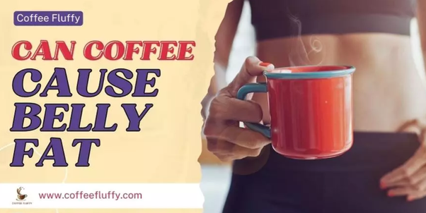 Can coffee cause belly fat? | by Coffee Fluffy | Feb, 2024 | Medium