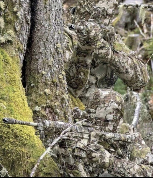 Why Camouflage Works: The Scientific Principles Behind Disrupting ...