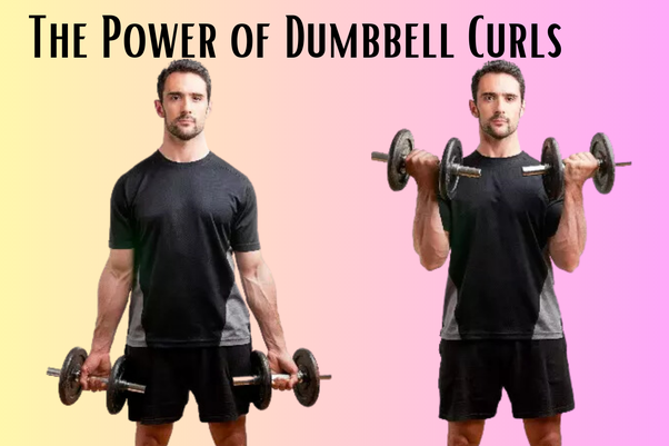 Mastering the Dumbbell Curl . : Technique, Time, and Maximum Impact ...