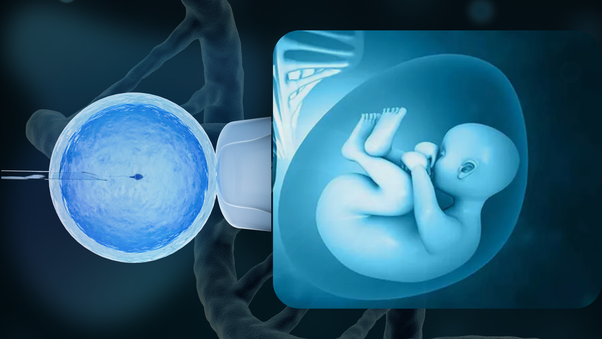 Best Fertility Centre in Bareilly — Lotus IVF | by Lotus IVF Bareilly ...