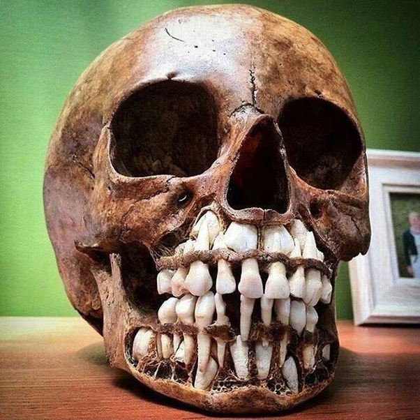 Most Scary Pictures ever taken!. Most Scary Pictures ever taken | by ...