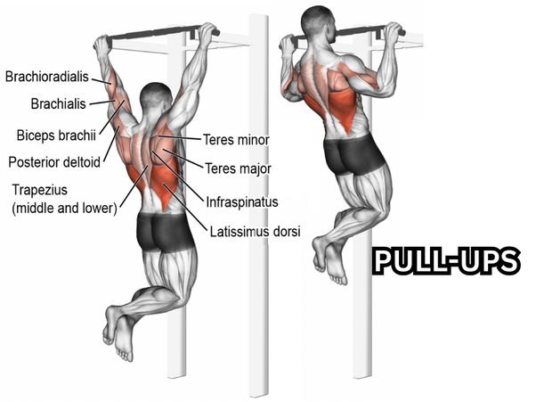 Girl Power: How to Master Pull-Ups with Strength Training | by Gary Foo ...