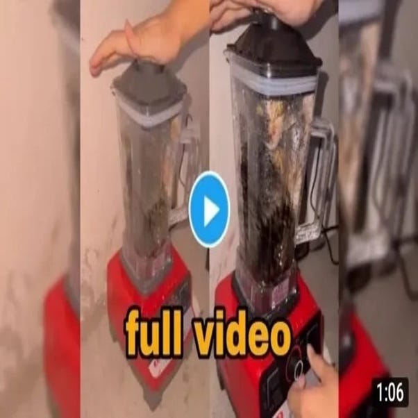 CAT IN BLENDER VIDEO — PEOPLE OUTRAGE OVER THE DISTURBING VIDEO AND ASK ...