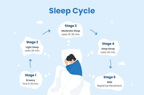The Four Stages of Sleep and What They Actually Do | by Dr Euphoria ...