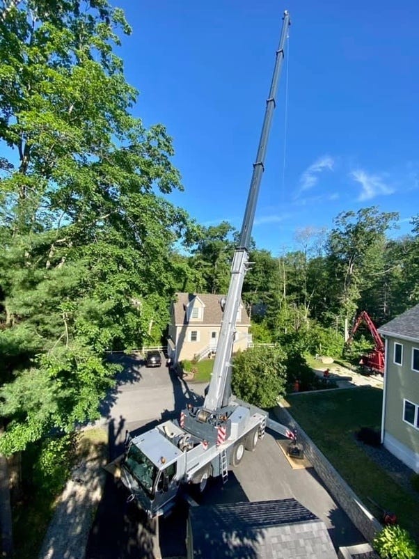 All Pro Tree Services: Your Premier Tree Removal Service in Kingston ...