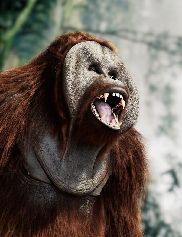 Why did the Gigantopithecus go extinct? | by Giuseppe Frisella | Medium