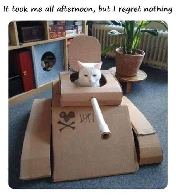 Sharing Memes! - Freda Savahl - Medium