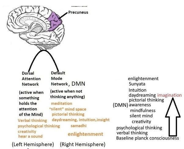 Why does the mind disappear during daydreaming — a conversation | by ...