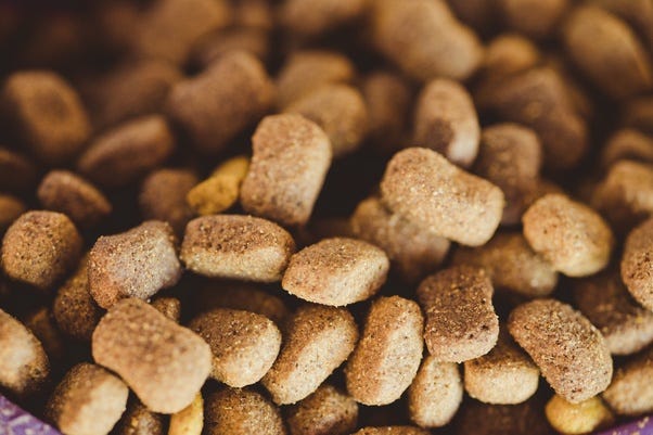 “Unraveling the Secrets Behind Quality Dog Food” | by Dogfoodbar | Jan ...