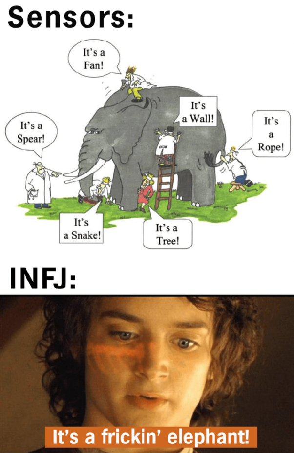 Here’s How to Tell Whether You Are a “True” INFJ | by marwar | Medium