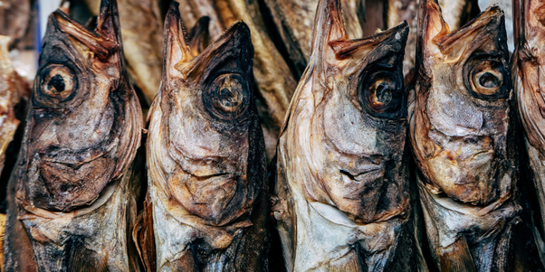 DRIED FISH FOR DOGS - Dogfoodbar - Medium