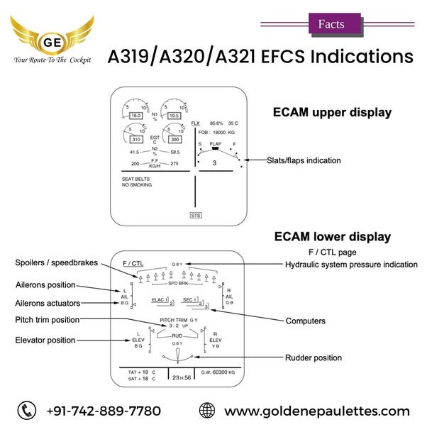 A319/A320/A321 EFCS Indications. The A319, A320, and A321 Electronic ...