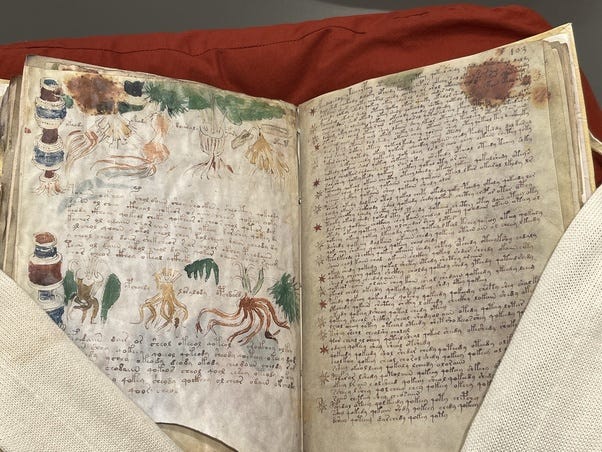 What we know — and don’t — about the Voynich Manuscript | by Nyx ...