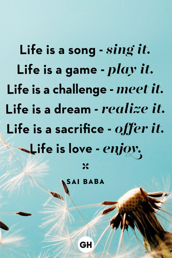 What are some of the best and truest life quotes? | by Ayesha Iqbal ...