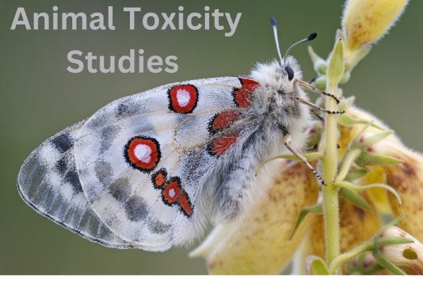 Unraveling the Complexities of Animal Toxicity Studies | by Essem ...