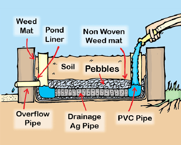 How to Build a Self Watering Garden | by Sustainable by Nature | The ...