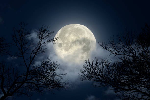 How the Lunar Phases in October Set the Stage for End-of-Year Success ...