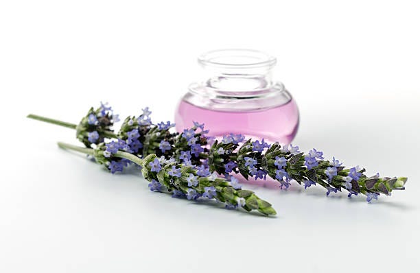 Lavender absolute. Looking For the Best Perfumery? Join… | by ...