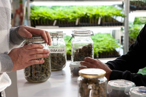 How to Do Cannabis Flavors Complement Coffee Aromas? | by Jacob William ...