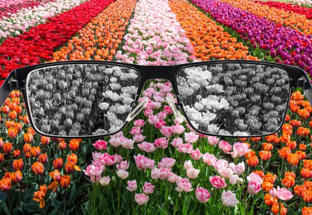Understanding Color Blindness: The Effects and Management Strategies ...