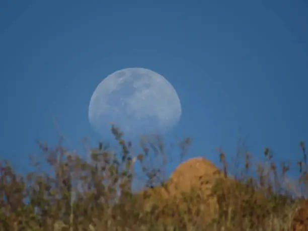 Shoot for the Moon: Help Suparco name Pakistan’s first-ever lunar rover ...