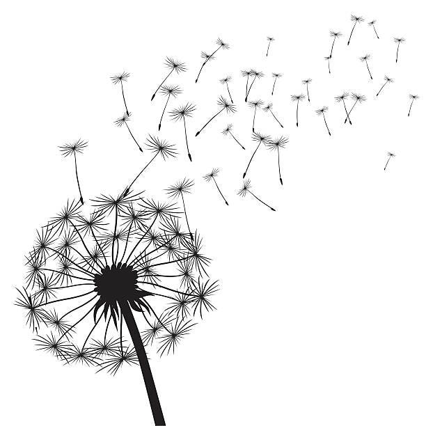 For Posterity’s sake.. On living and creating with the future… | by ...