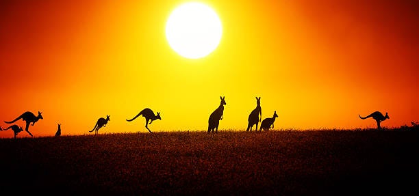 Just Skippy, Not Skip.. Since the time of the ancients, the key… | by ...