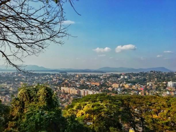 Exploring Assam: A Journey Through Tea Gardens and Mystical Landscapes ...