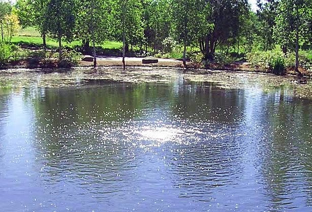 The Ultimate Guide To Why Is Aeration Important In Water Treatment | by ...